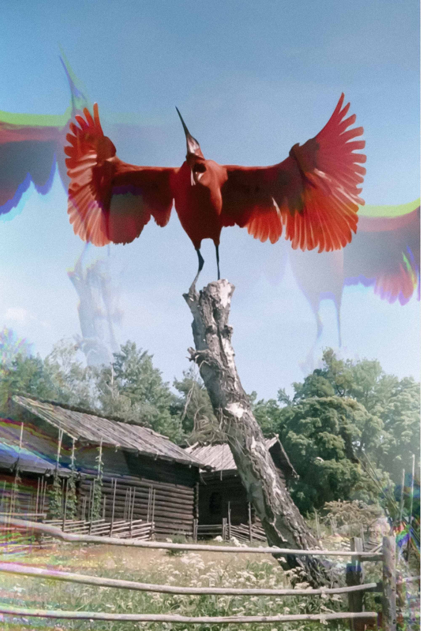 Store – Monokel Eyewear